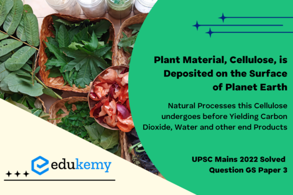 Define Potential GDP and explain its determinants. What are the factors that have been ...