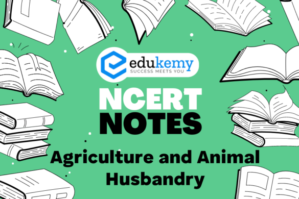 UPSC NCERT Notes - Geography - Indian Soils