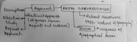 Explain the sequential development of areal differentiation as a ...