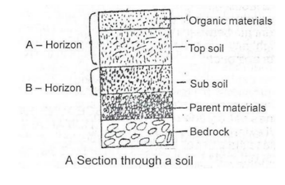 soil profile