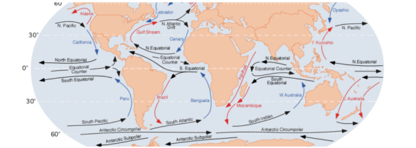 Northern Hemisphere