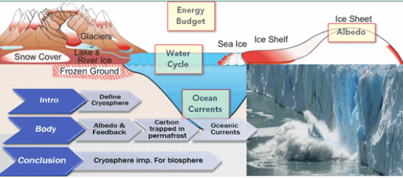 How does the cryosphere affect global climate? (150 words, 10 marks) - Blog