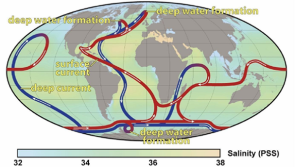 Account for variations in oceanic salinity and discuss its multi ...