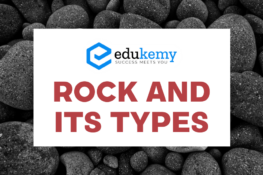 Major Crops In India and Cropping Patterns in India – UPSC Indian ...