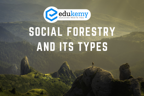 World Climatic Region - UPSC World Geography Notes