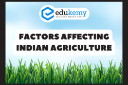 Major Crops In India and Cropping Patterns in India – UPSC Indian ...