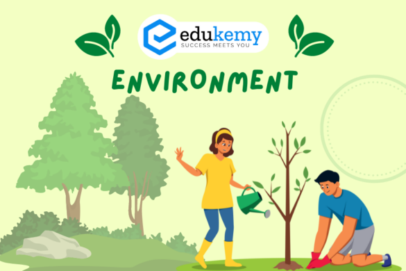 National Ambient Air Quality Standards (NAAQS)