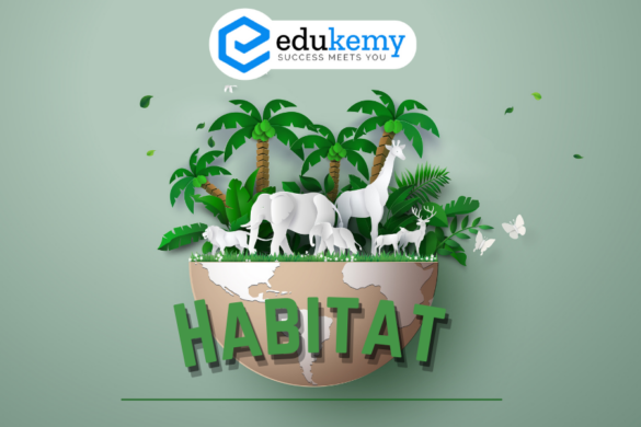 National Solar Mission (JNNSM) - UPSC Environment Notes