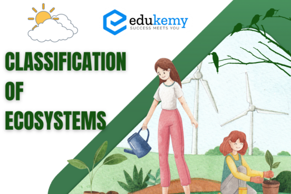 Desert Ecosystem/Biome - UPSC Environment Notes