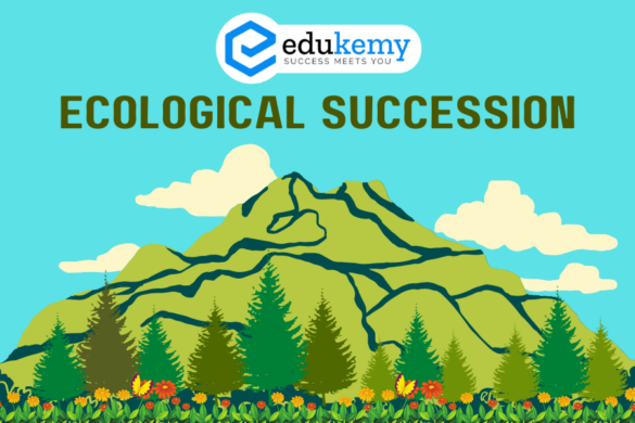 Ecological Succession - UPSC Environment Notes