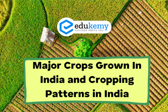 Major Crops In India and Cropping Patterns in India – UPSC Indian ...