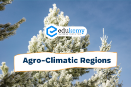 Major Crops In India and Cropping Patterns in India – UPSC Indian ...