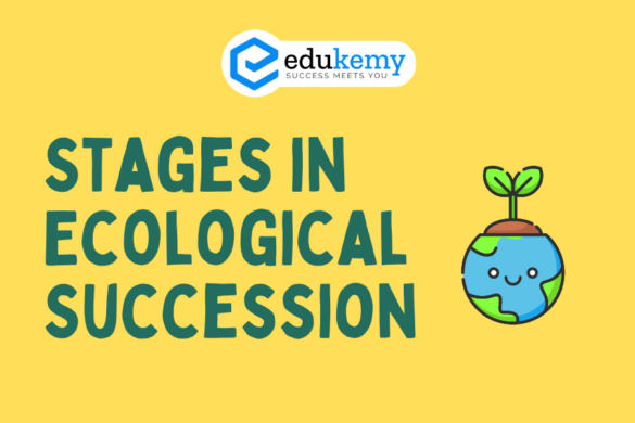 National Solar Mission (JNNSM) - UPSC Environment Notes