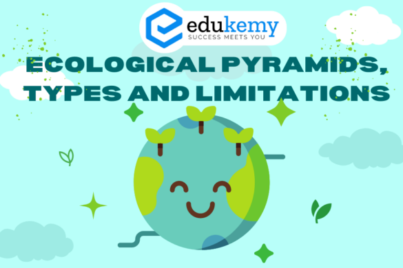 Ecological Pyramid, Types, and Limitations