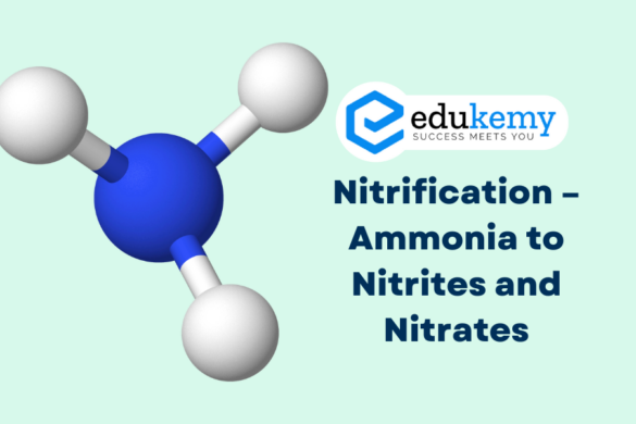 Nitrification – Ammonia to Nitrites and Nitrates