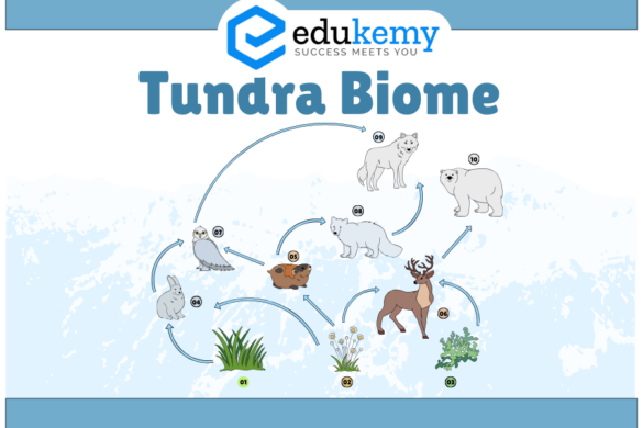 Critical Wildlife Habitats (CWH) - UPSC Environment Notes