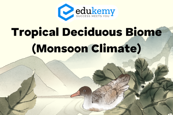 Desert Ecosystem/Biome - UPSC Environment Notes