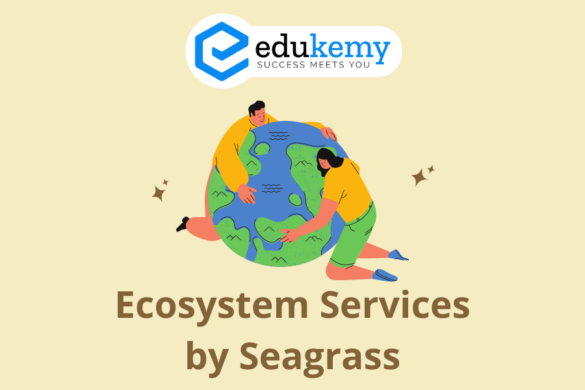 Indian Estuarine Ecosystem - UPSC Environment Notes