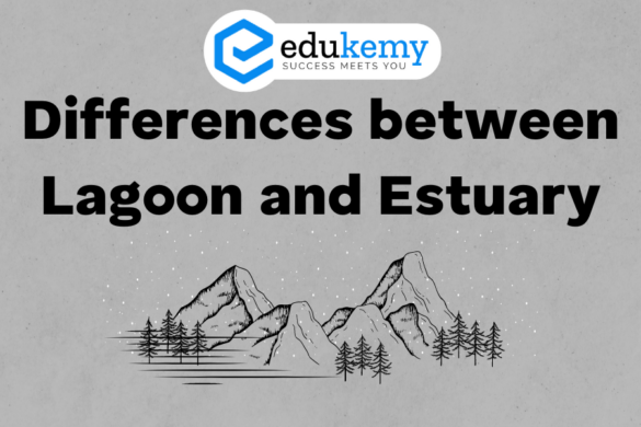 Differences between Lagoon and Estuary - UPSC Environment