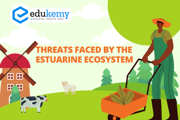 Wildlife (Protection) Act, 1972 - UPSC Environment Notes