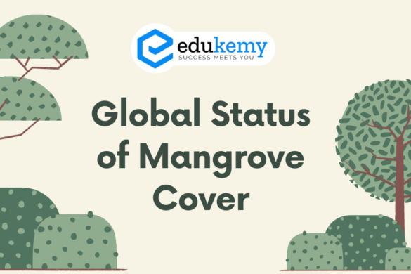Ecological Pyramid, Types, and Limitations