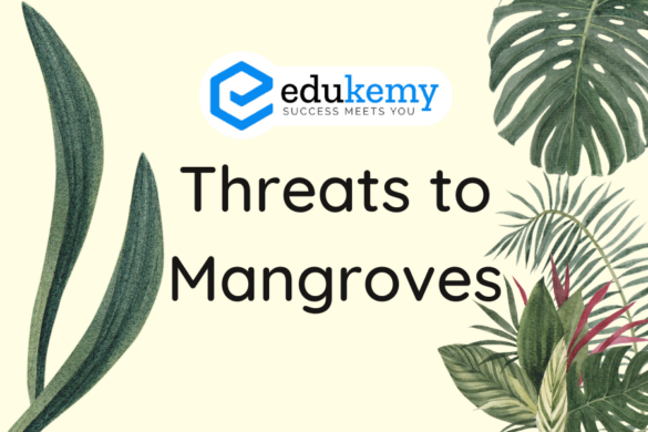 Intended Nationally Determined Contributions (INDC)