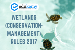 Ecological Pyramid, Types, and Limitations