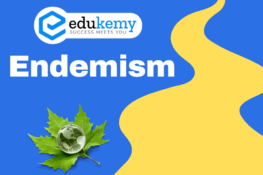 Ecological Pyramid, Types, and Limitations