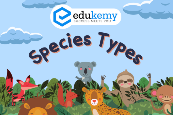 Temperate Rainforest Biome - UPSC Environment Notes