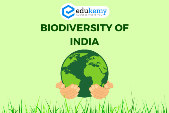Indian Estuarine Ecosystem - UPSC Environment Notes