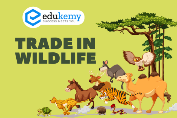 Project Hangul (Kashmiri Stag) - UPSC Environment Notes