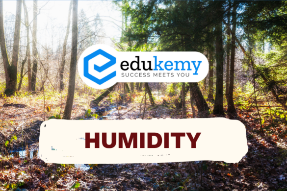 Soil Profile and Horizon - UPSC World Geography Notes