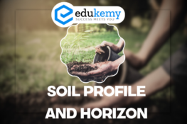 Classification of Indian Rock System - UPSC World Geography