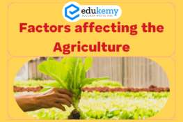 Major Crops In India and Cropping Patterns in India – UPSC Indian ...