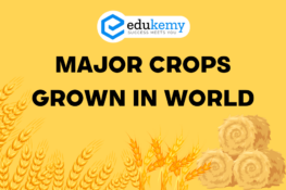 Major Crops In India and Cropping Patterns in India – UPSC Indian ...