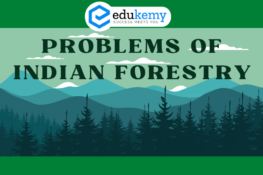 Classification of Indian Rock System - UPSC World Geography