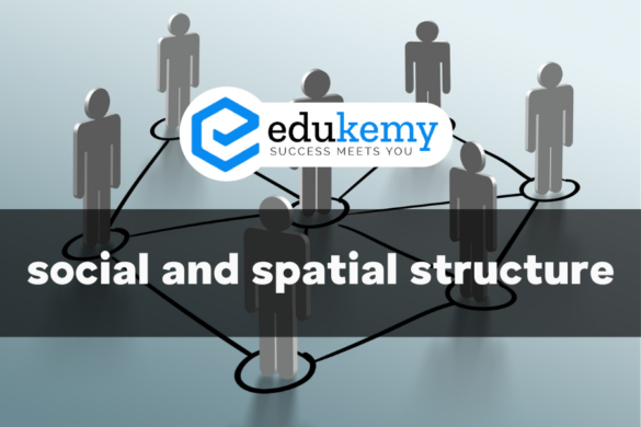 The interrelationships between social and spatial structure are complex ...