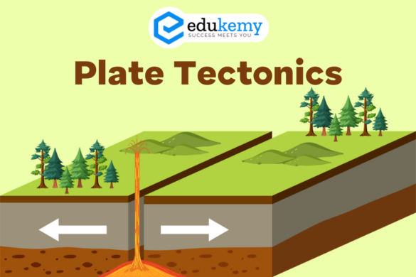 The concept of Plate tectonics has been derived from the isostasy and ...