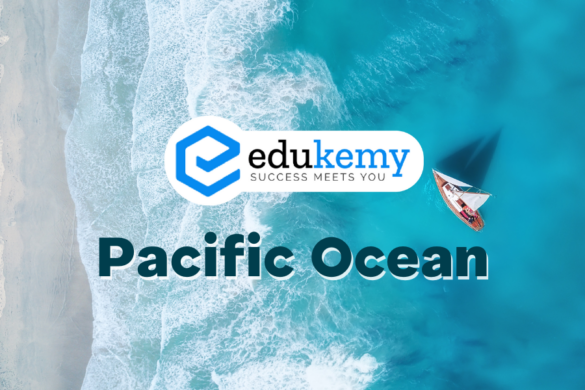 Give a detailed account of the bottom topography of the Pacific Ocean ...