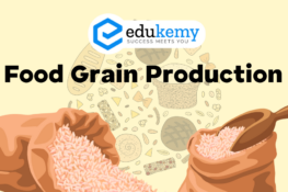 Public Sector Evolution, Reforms, and Performance