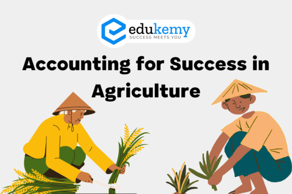 NIMZ (National Investment and Manufacturing Zone)