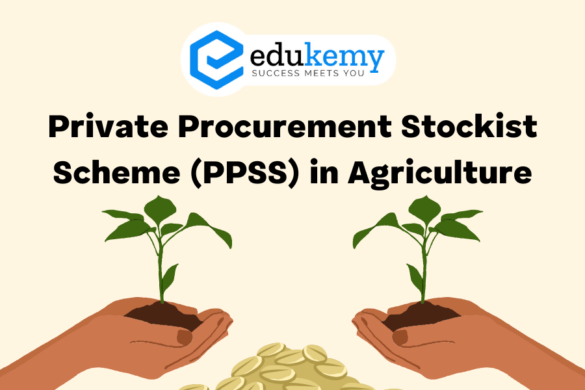 Plug and Play Model in Infrastructure Projects