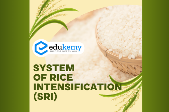 Mumbai Interbank Offered Rate (MIBOR) - UPSC Economy Notes