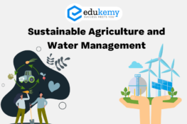 Public Sector Evolution, Reforms, and Performance