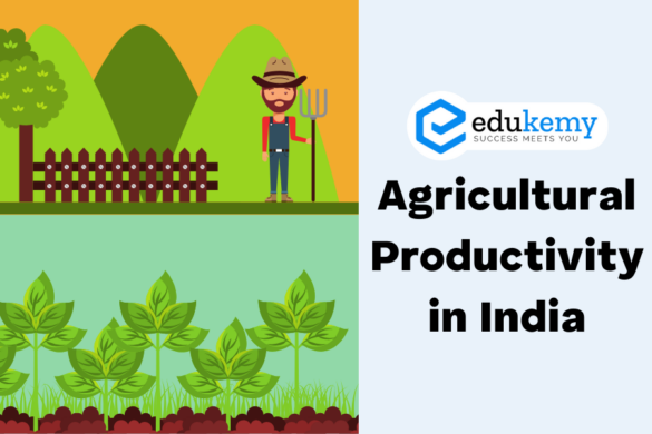 Agricultural Productivity in India - UPSC Economy Notes