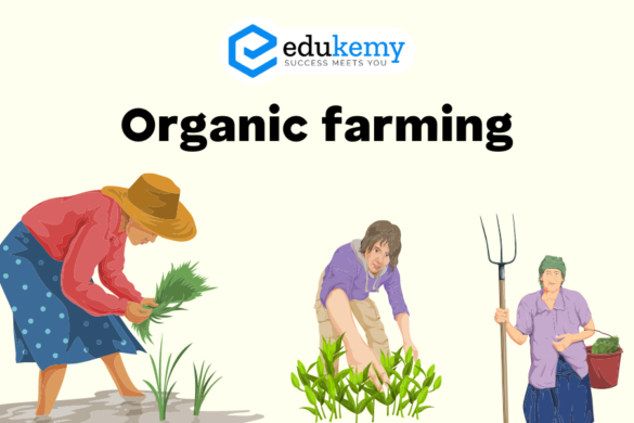 Green Gross Domestic Product (Green GDP) - UPSC Economy