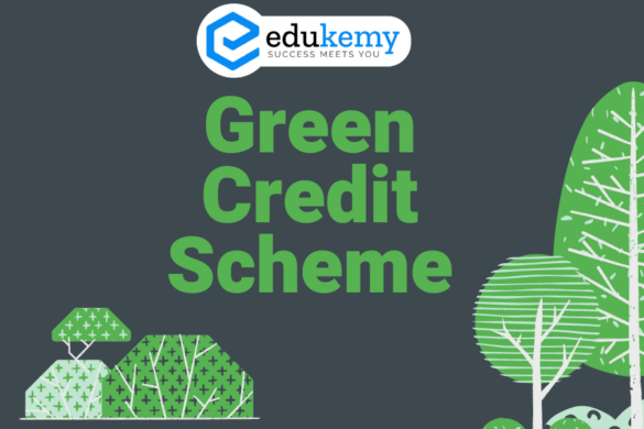 Ecological Pyramid, Types, and Limitations