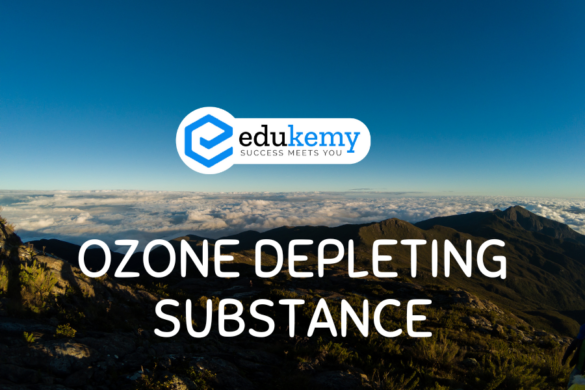 Ecological Pyramid, Types, and Limitations