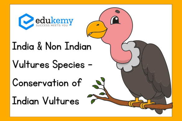 Project Hangul (Kashmiri Stag) - UPSC Environment Notes