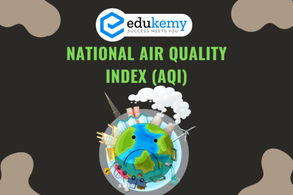 Ecological Pyramid, Types, and Limitations